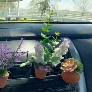 CAR AIR FRESHENER clay Pot 1 Succulent Plant & a Free Daisy Vent Clip ...