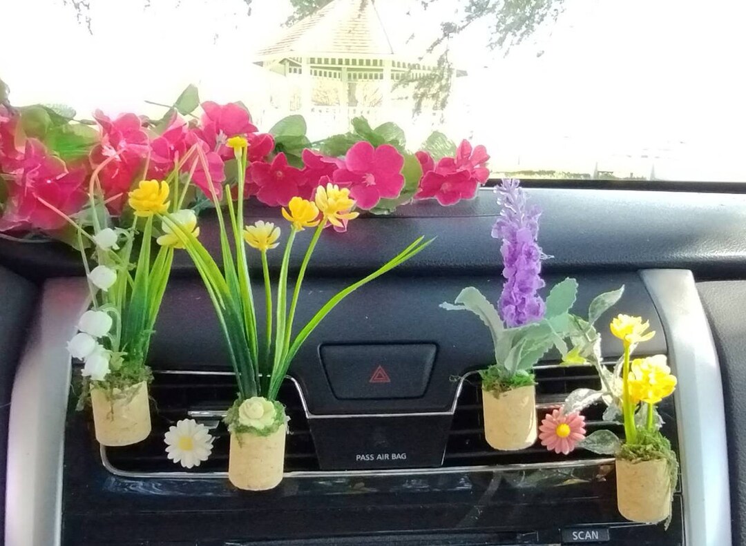 CAR AIR FRESHENER 1 Succulent Plant & a Free Daisy Vent - Etsy