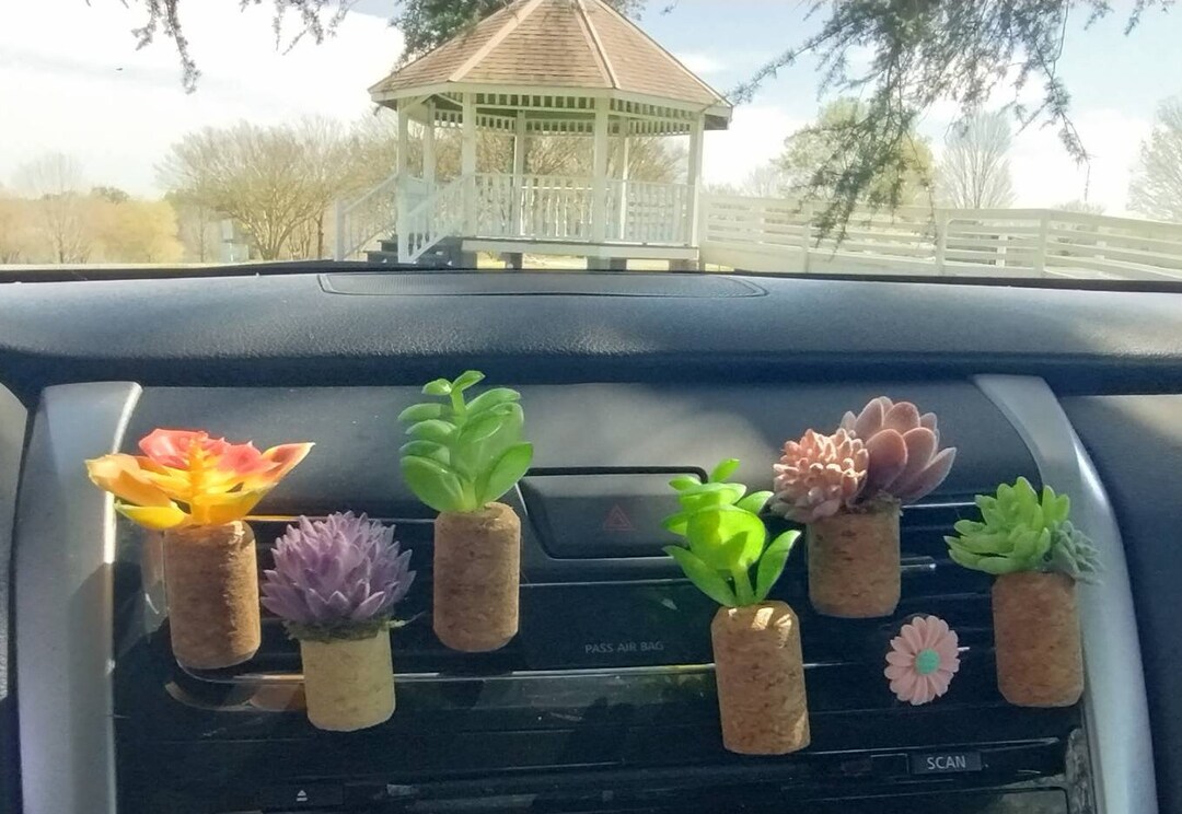 CAR AIR FRESHENER 1 Succulent Plant & a Free Daisy Vent Clip-car ...