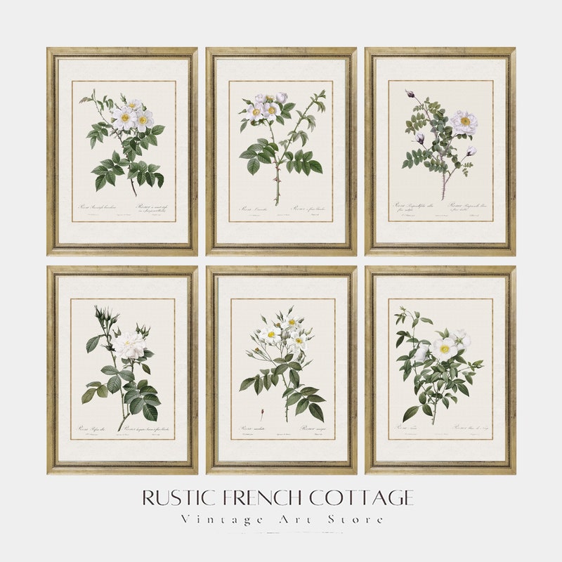 Flower Drawing - Etsy