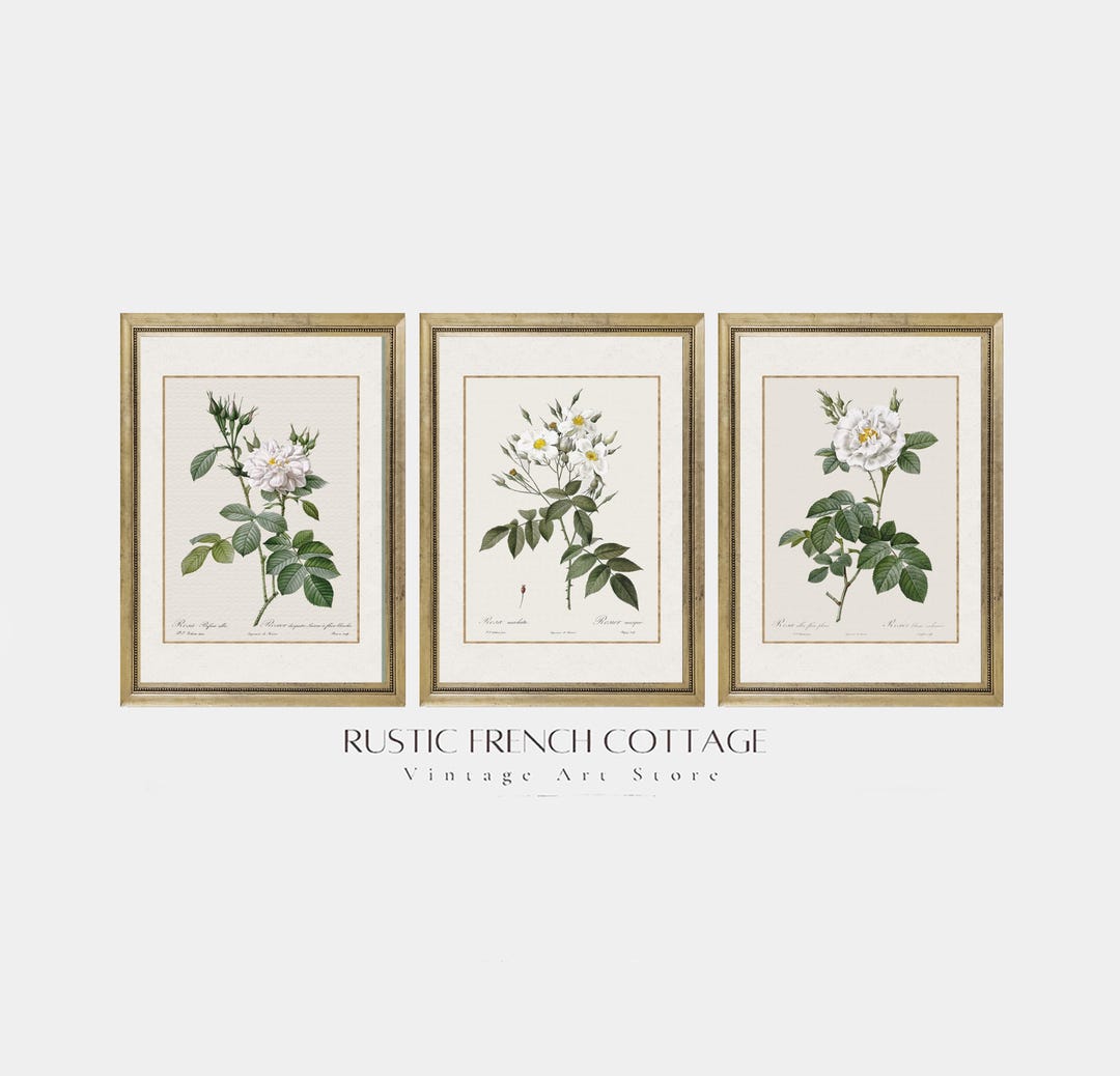 White Rose Art Prints Set | Vintage French Country Decor | Botanical ...