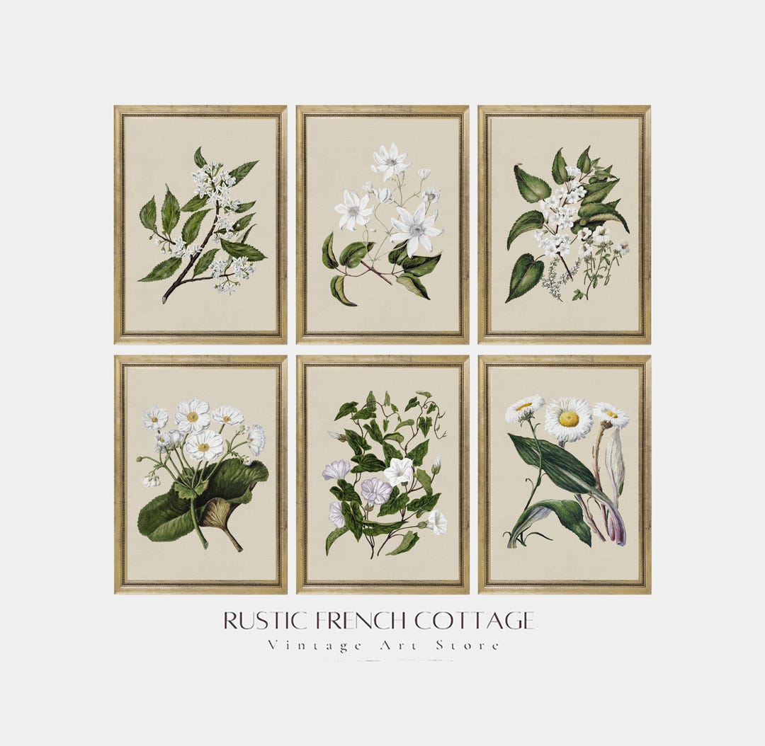 Vintage Botanical Art Set of 6 | Rustic Art for Cottage and Farmhouse ...
