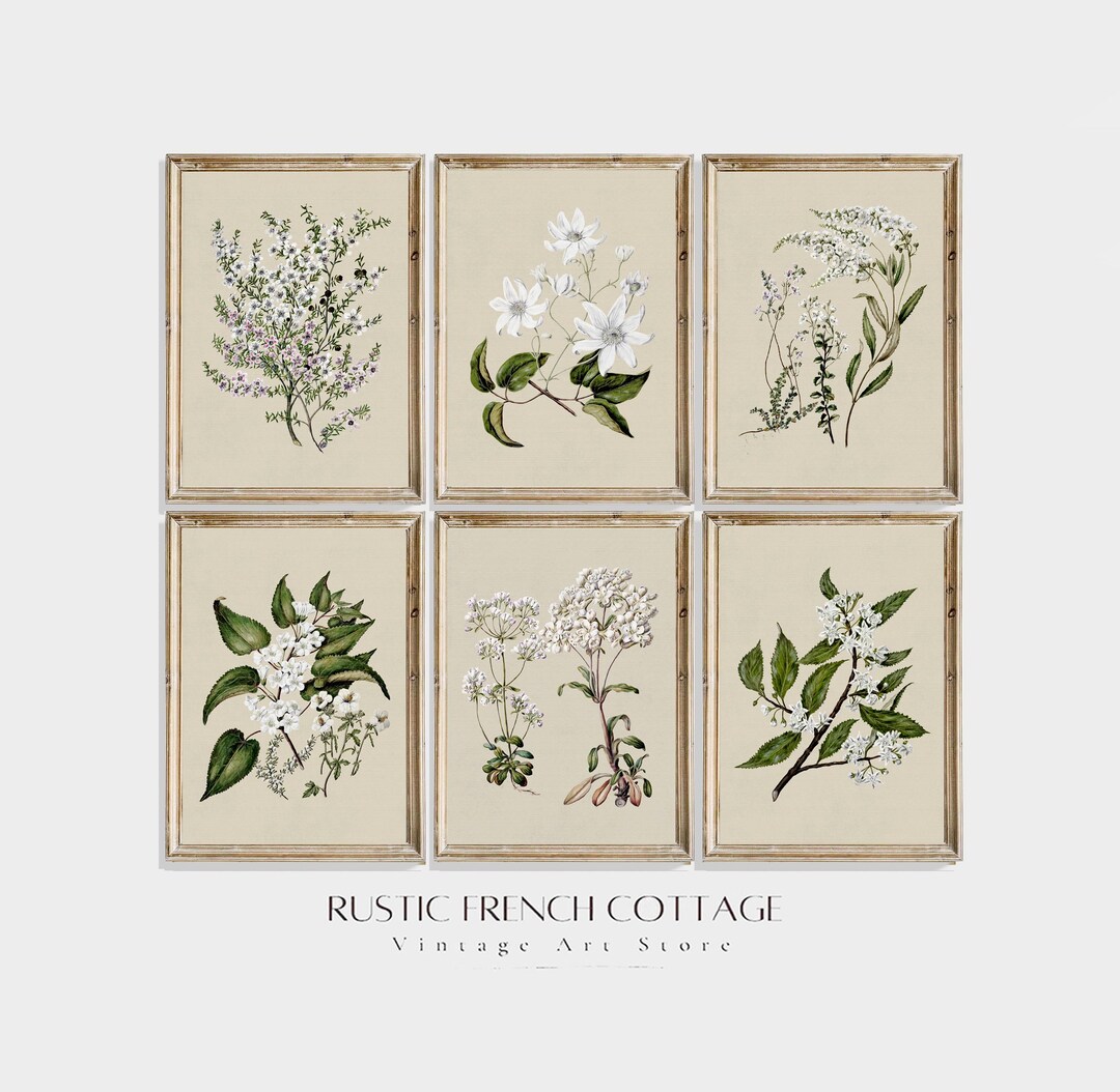 Botanical Art Set of 6 | Antique Floral Prints for Farmhouse and ...