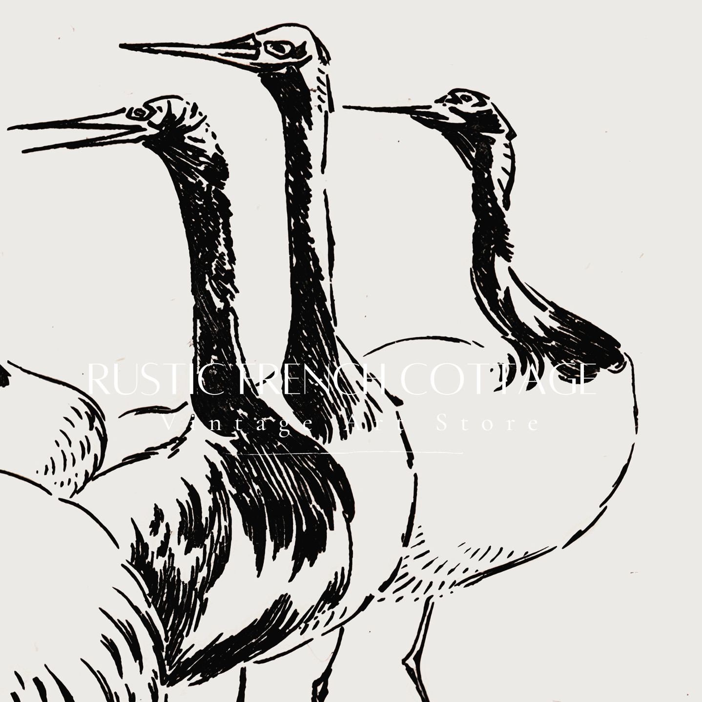 Neutral Farmhouse Antique Sketch Print | Vintage Crane Flock Drawing ...
