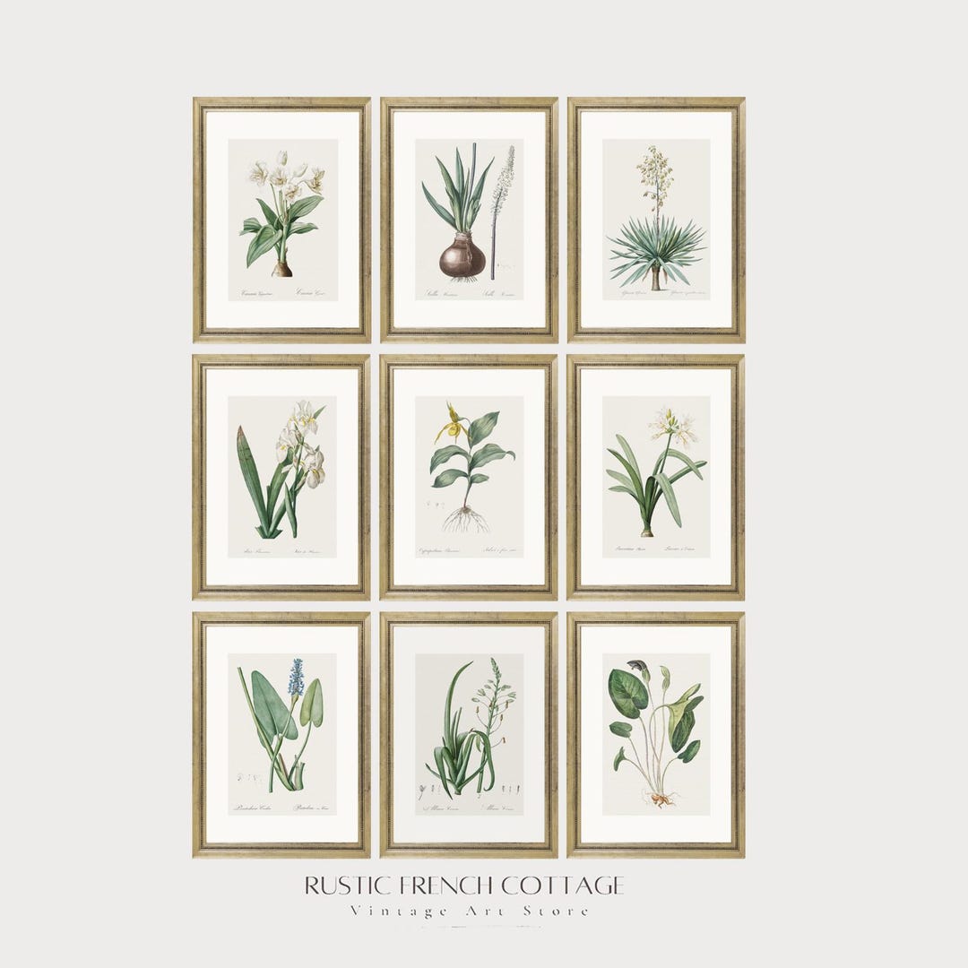 Victorian Botanical Art | Antique Herb Prints Set | Rustic Plant ...