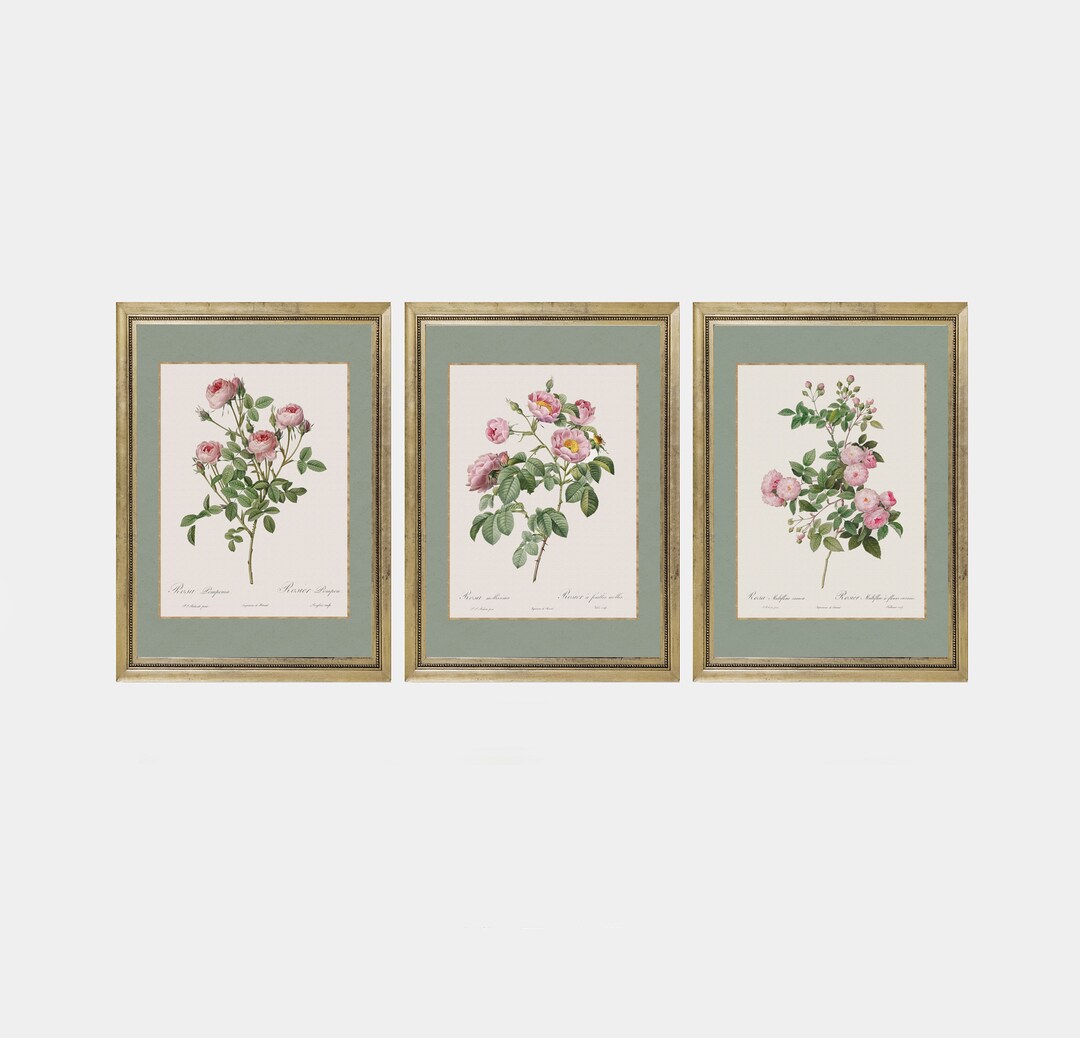 Set of Three Vintage Rose Art Prints for Living Room Décor | Country ...