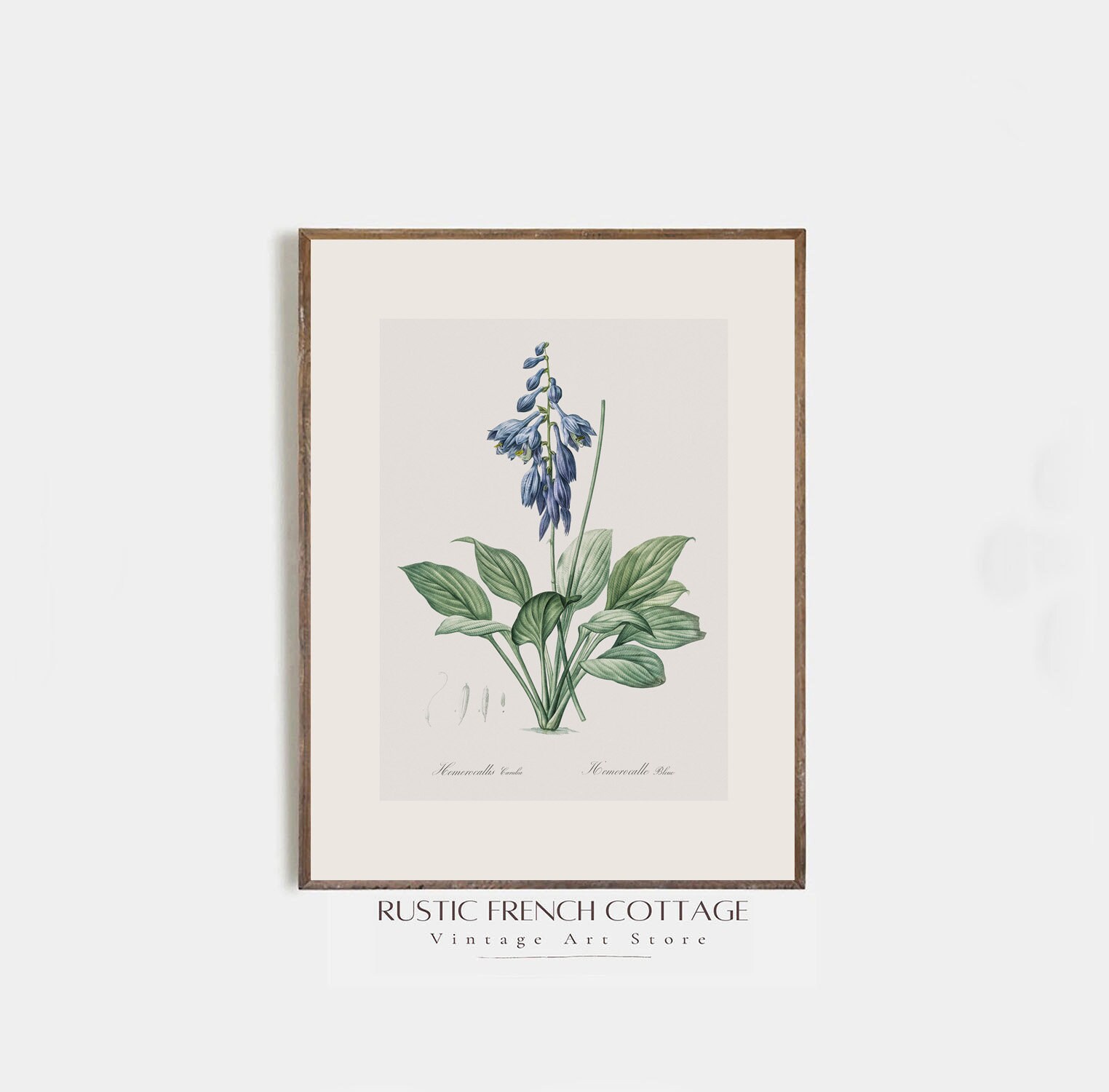 Vintage Botanische Galerie | Wildblumen-Wandkunst | Französisches Landhausdekor | blaue Blume ...