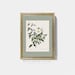Set of Three Vintage Floral Prints in Sage Green Botanical Wall Gallery ...