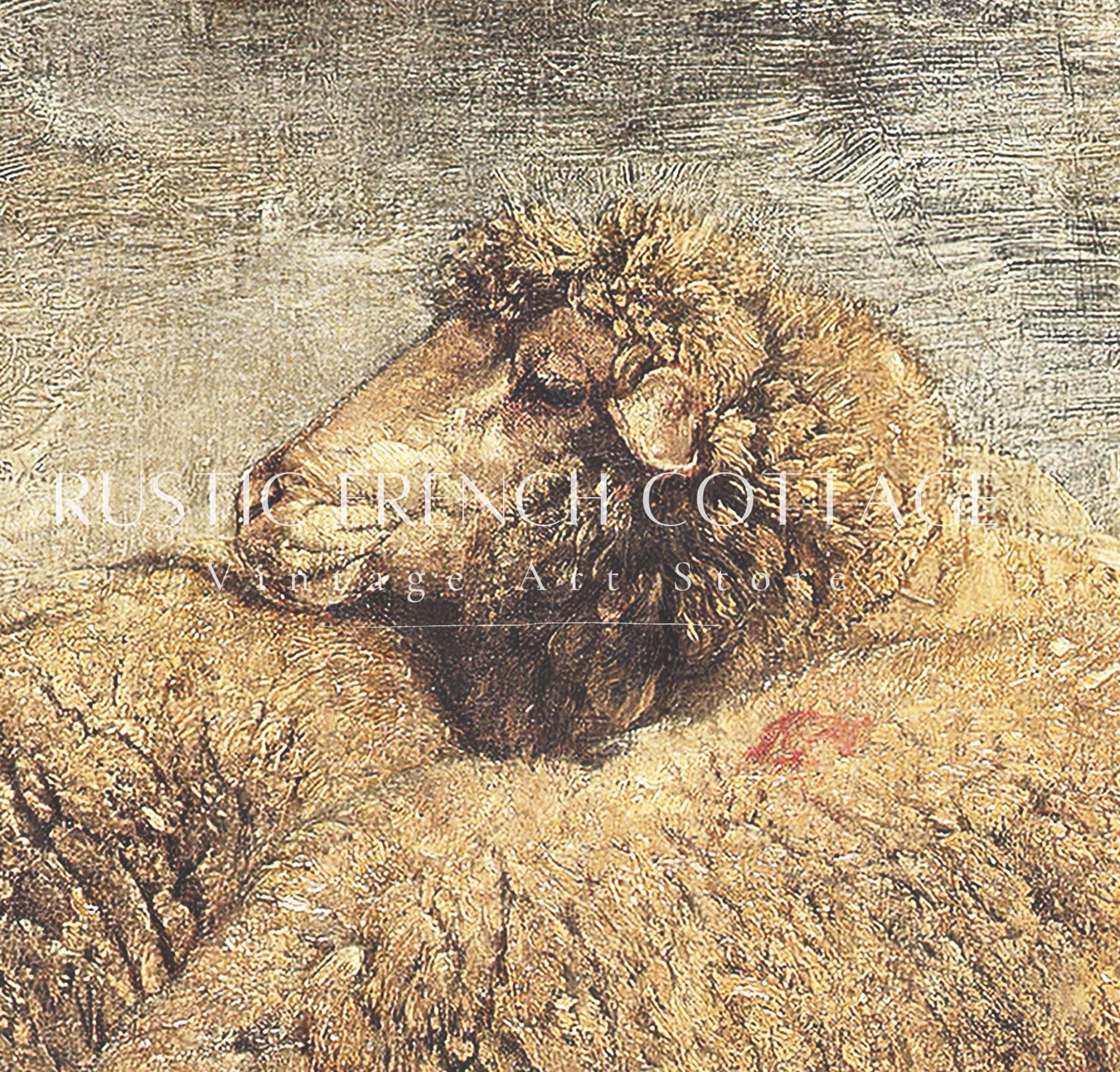 Vintage Sheep Art, Sheep Drawing, Easter Wall Art Print, Sketch Art ...