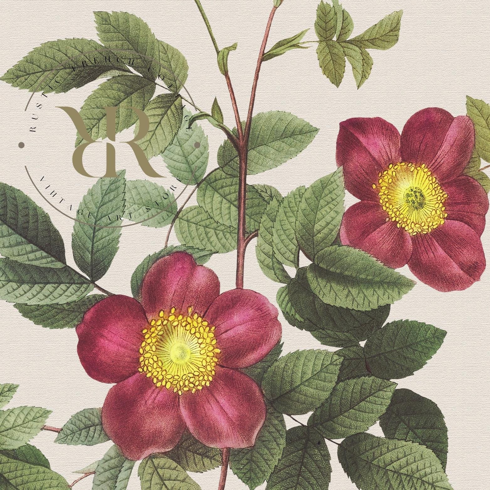 Rustic Red Roses Printable | Vintage Floral Download Art | Farmhouse ...