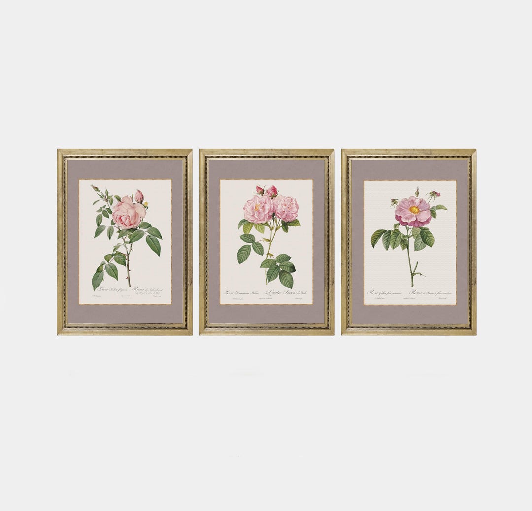 Vintage Rose Wall Art | Pink Botanical Print | Elegant Floral Decor ...