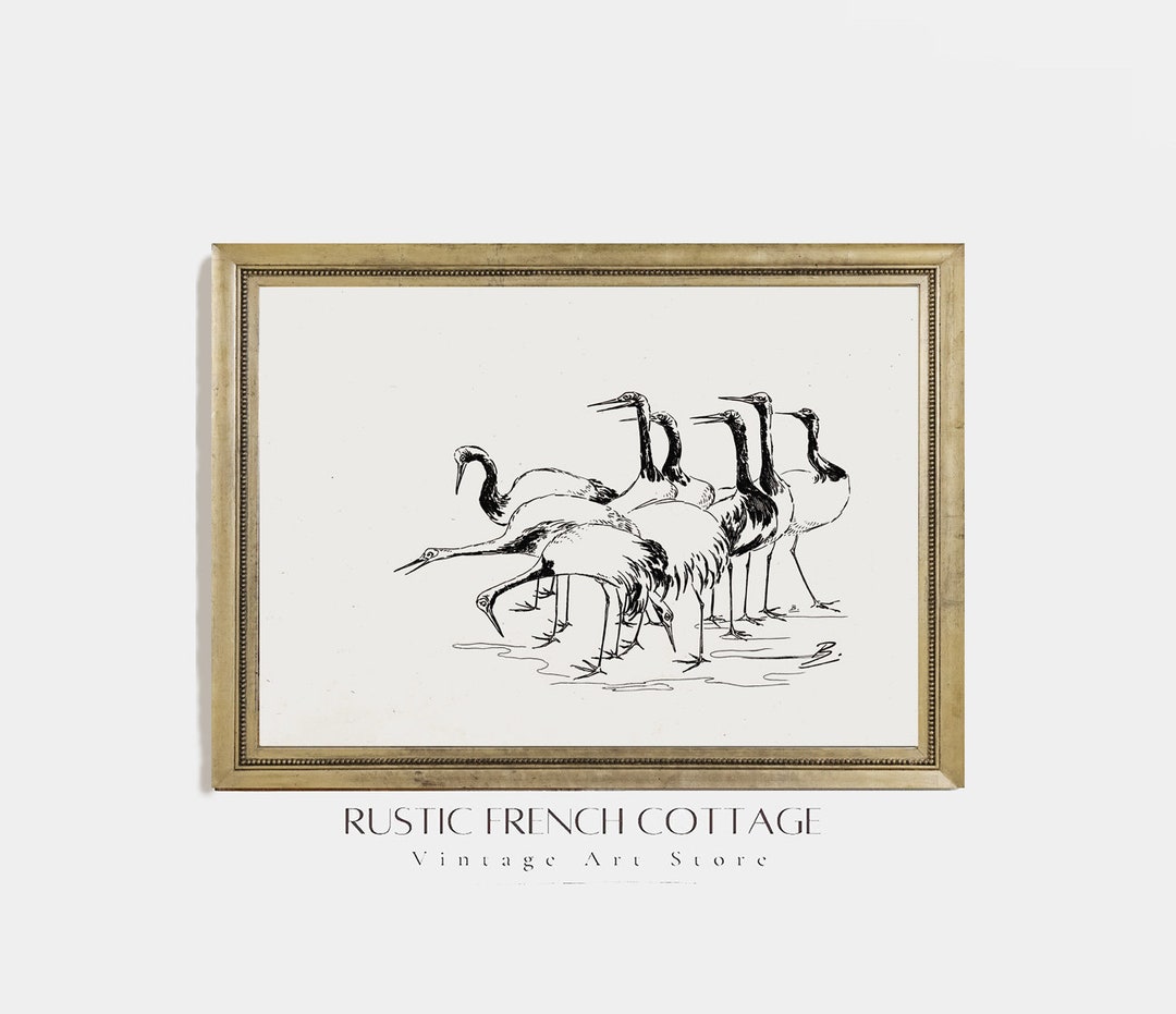Neutral Farmhouse Antique Sketch Print | Vintage Crane Flock Drawing ...