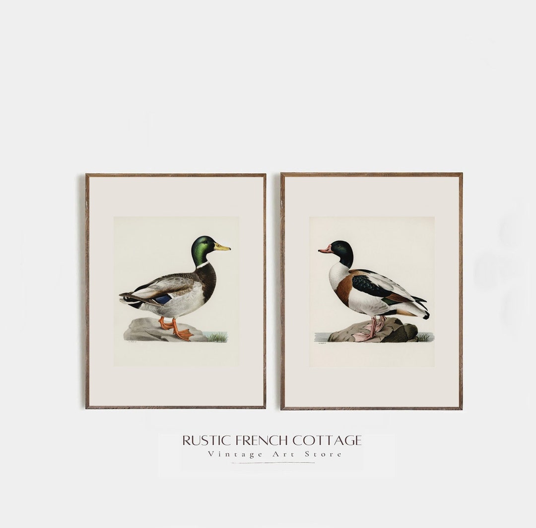 Vintage Duck Paint Rustic Décor Lake House Decor PRINTABLE Digital Art ...