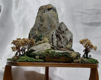 Modular, Diorama,with Natural Rock, Create Your Landscape,,table Top ...