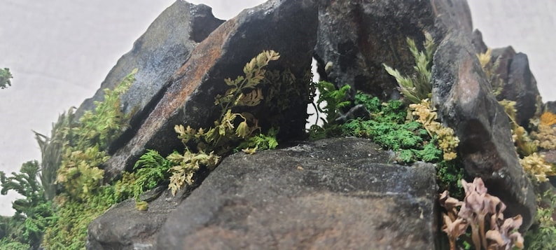 Modular, Diorama,with Natural Rock, Create Your Landscape,,table Top ...