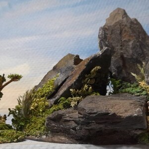 Modular Dioramawith Natural Rock Create Your - Etsy