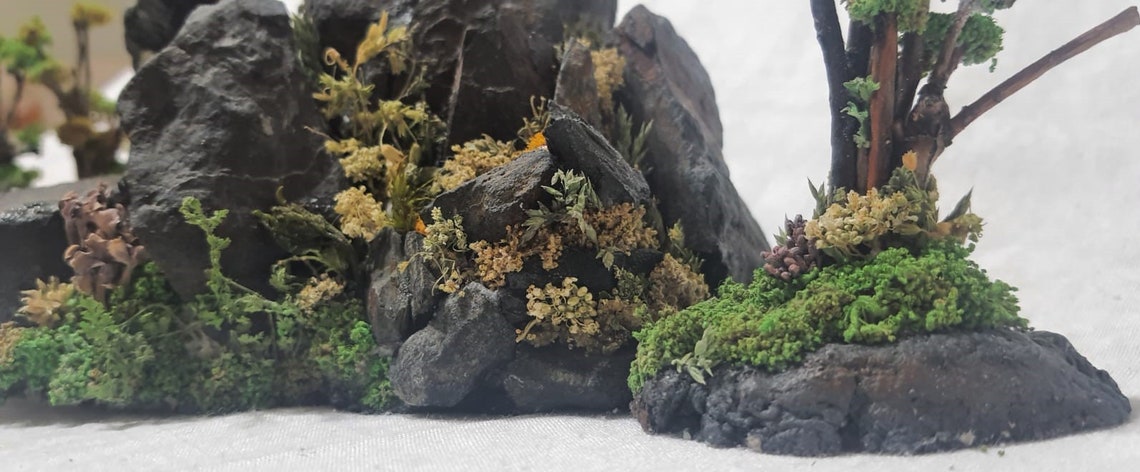 Modular, Diorama,with Natural Rock, Create Your Landscape,,table Top ...