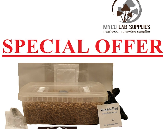 1200ml Mycolabs Mushroom Grow Kit Rye Grain Grow Your Own Mushrooms ...