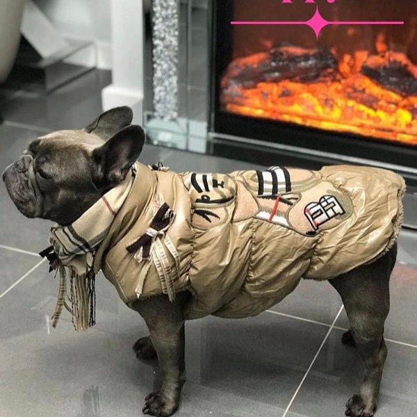 Burberry Dog Jacket - Etsy