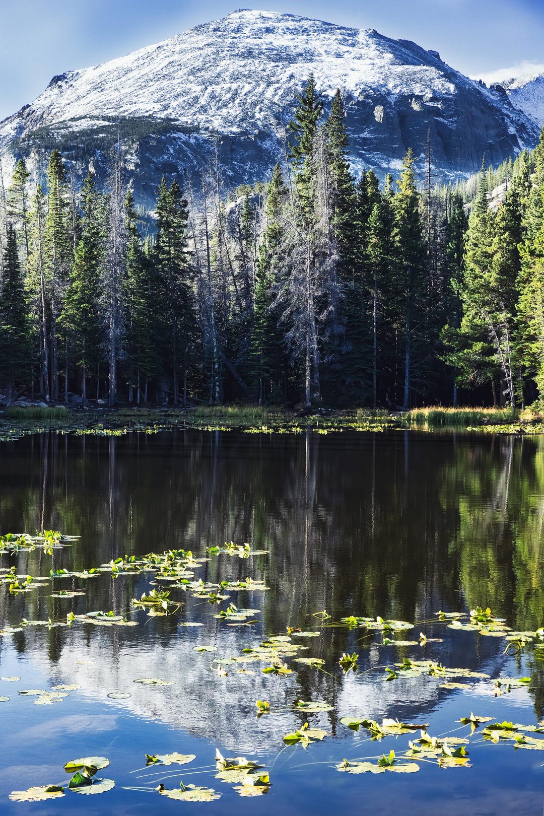 Rocky Mountain National Park Lymph Lake Photograph - Etsy