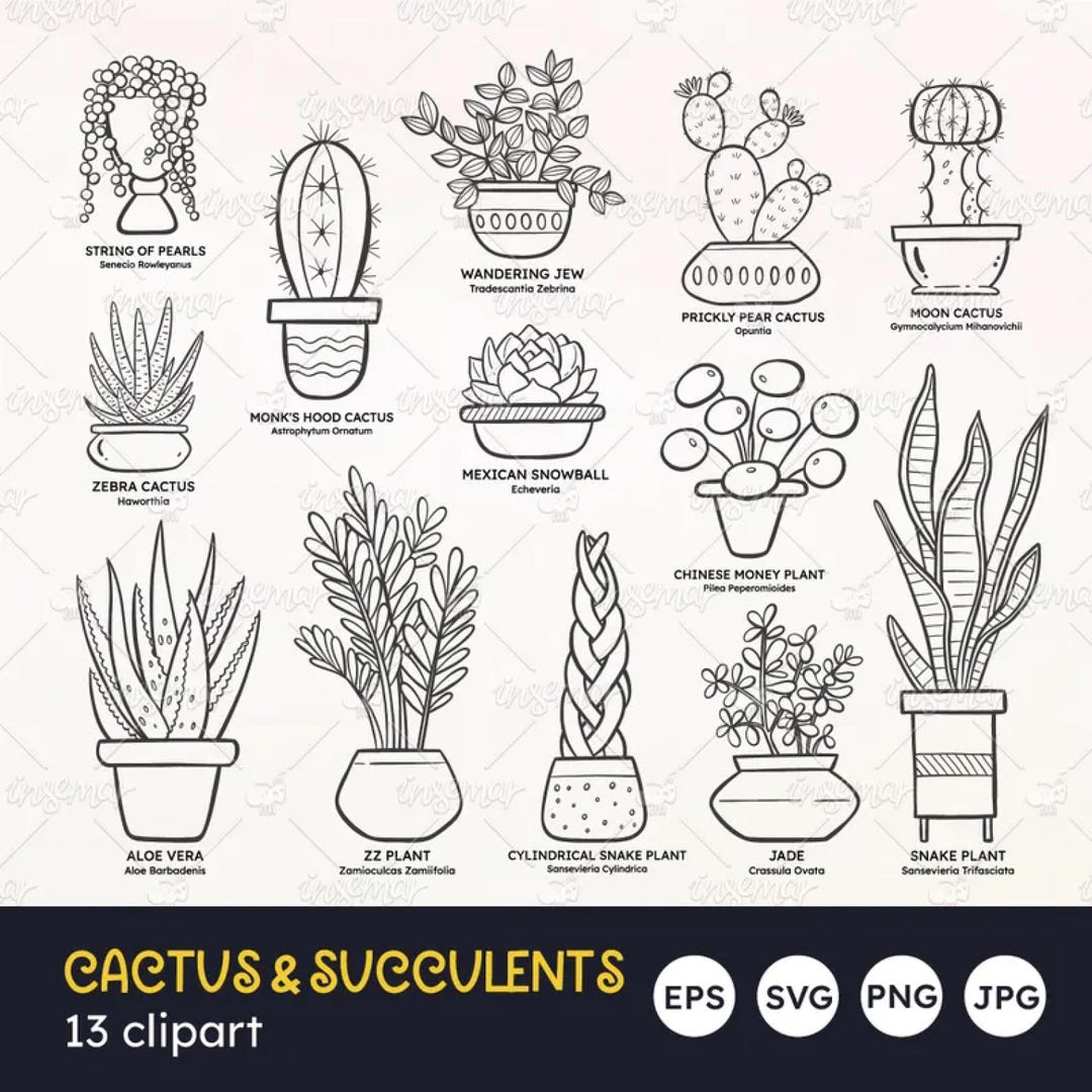 Cactus & Succulent Doodles: Hand-drawn Plant Collection (SVG, PNG, EPS ...
