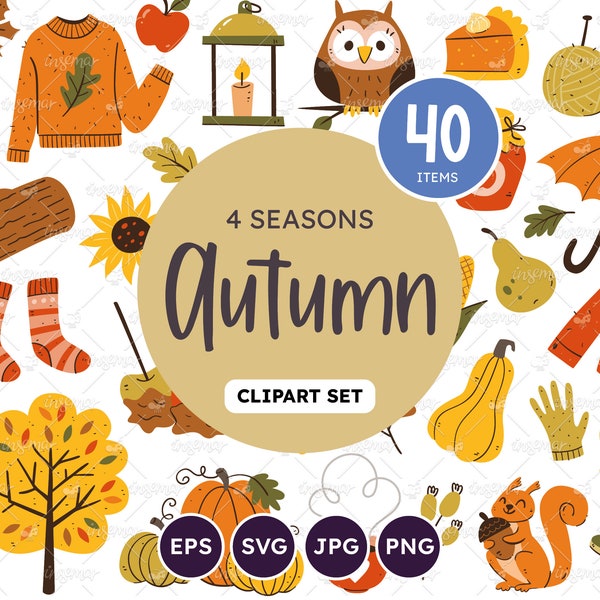 Transparent Vector - Etsy