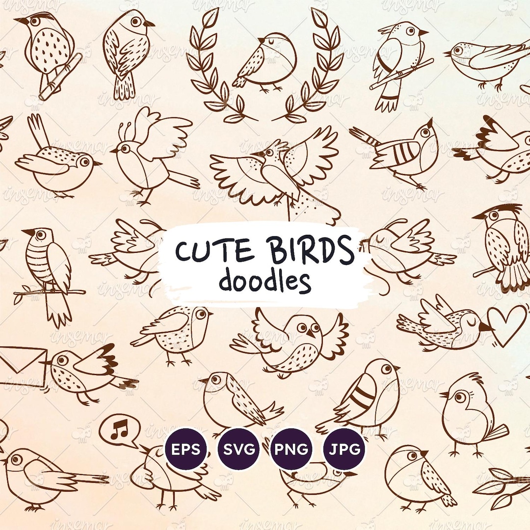 Bird Doodles: Hand-drawn Birds in Different Poses. Vector EPS, SVG, PNG ...