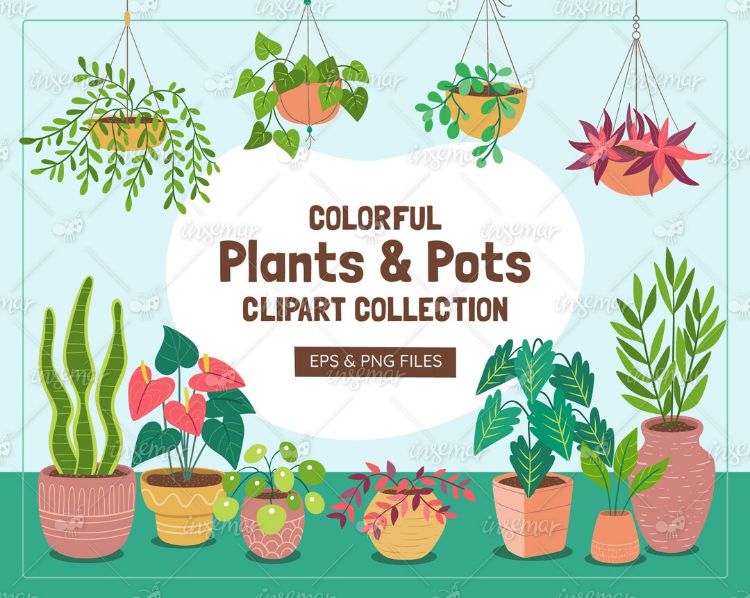 Houseplant Clip Art Collection, Isolated Plants & Pots Illustrations ...