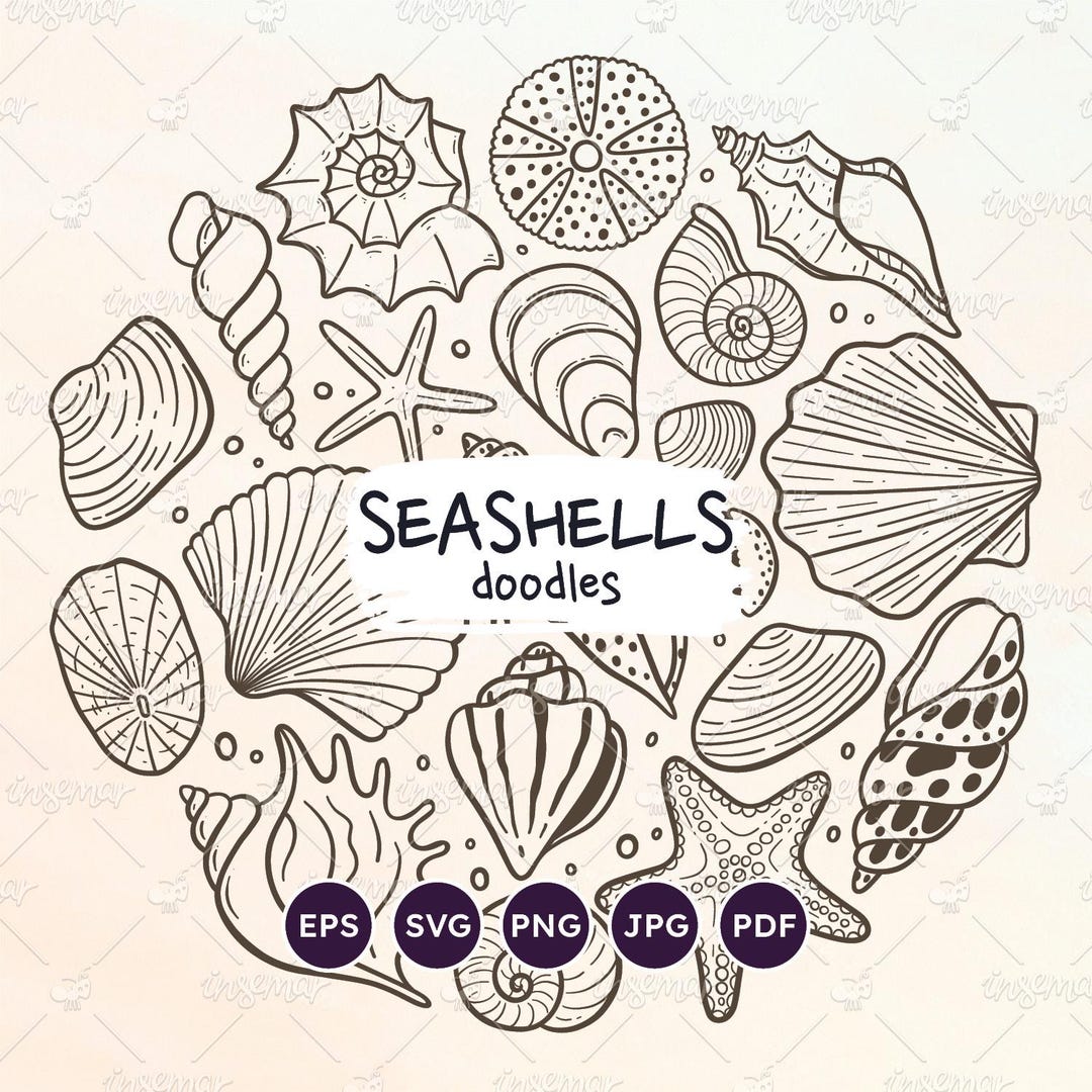 Seashell Doodles – Hand-drawn Sea Life Clipart (digital Download) - Etsy