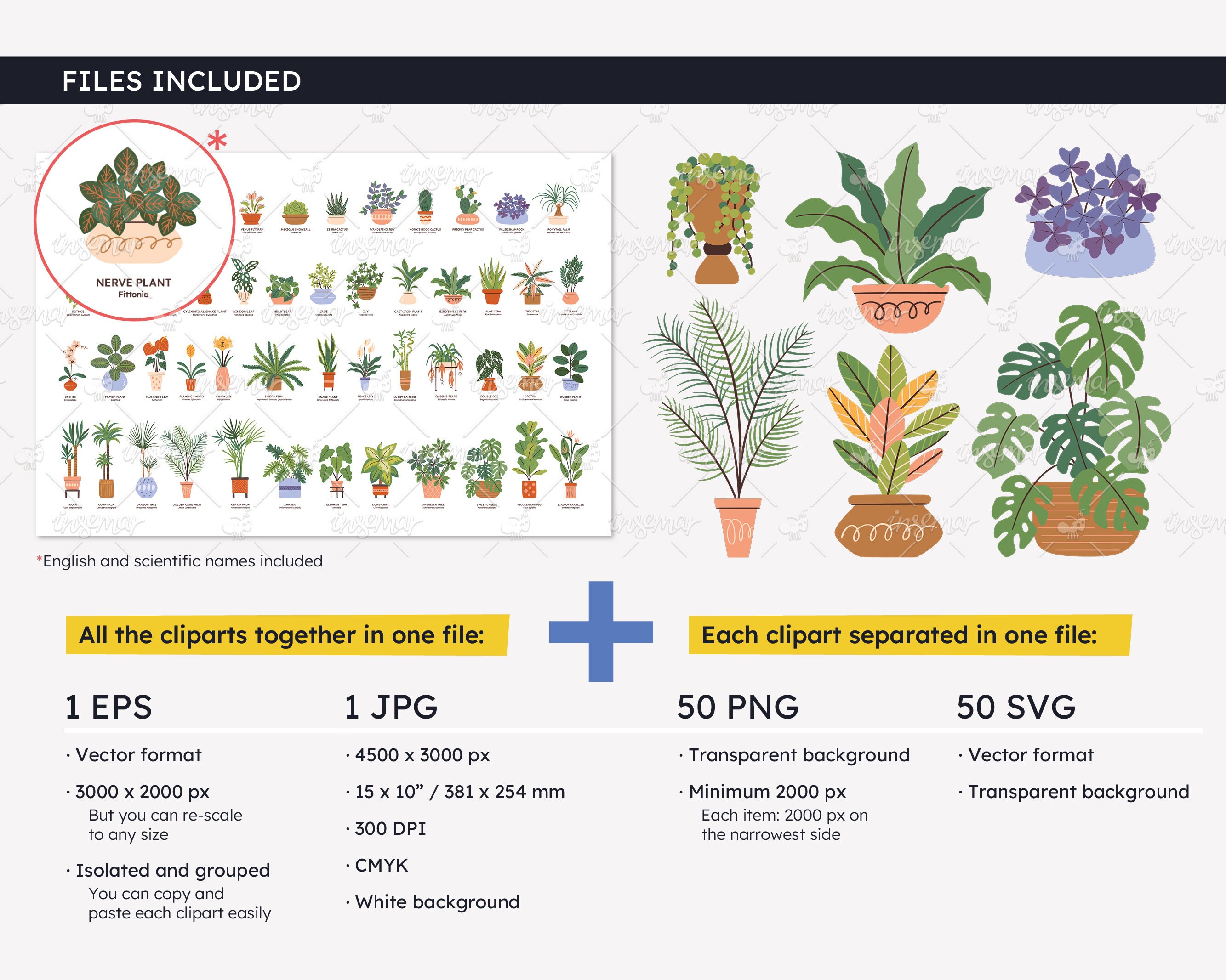 Houseplant Clipart Set, Indoor Plant Clip Arts, Hand-drawn Potted ...