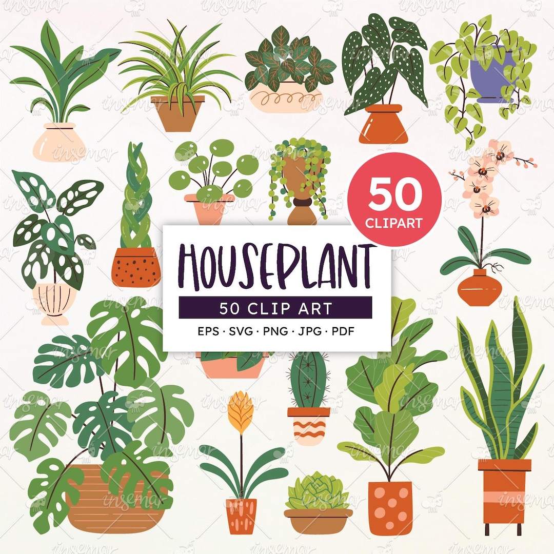 Houseplant Clip Art: Hand-drawn Indoor Plants, Tropical, Succulent (EPS ...