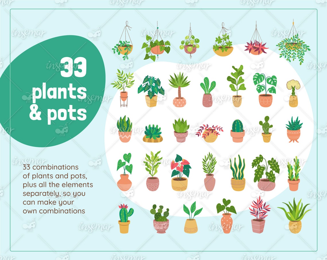 Houseplant Clip Art Collection, Isolated Plants & Pots Illustrations ...