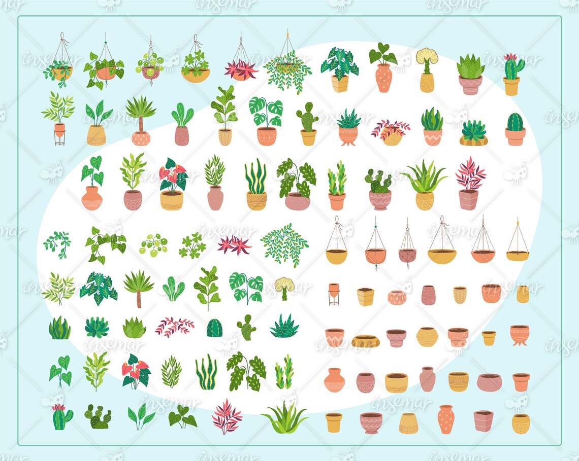 Houseplant Clip Art Collection, Isolated Plants & Pots Illustrations ...