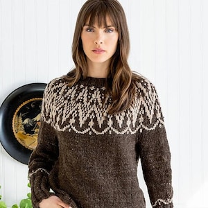 Noro Sweater Knitting Pattern, Noro Brioni Sweater Knitting Pattern in ...