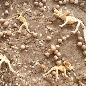 Dinosaur Excavation Set Dino Fossil Sensory Play Tray Kit Messy Play ...