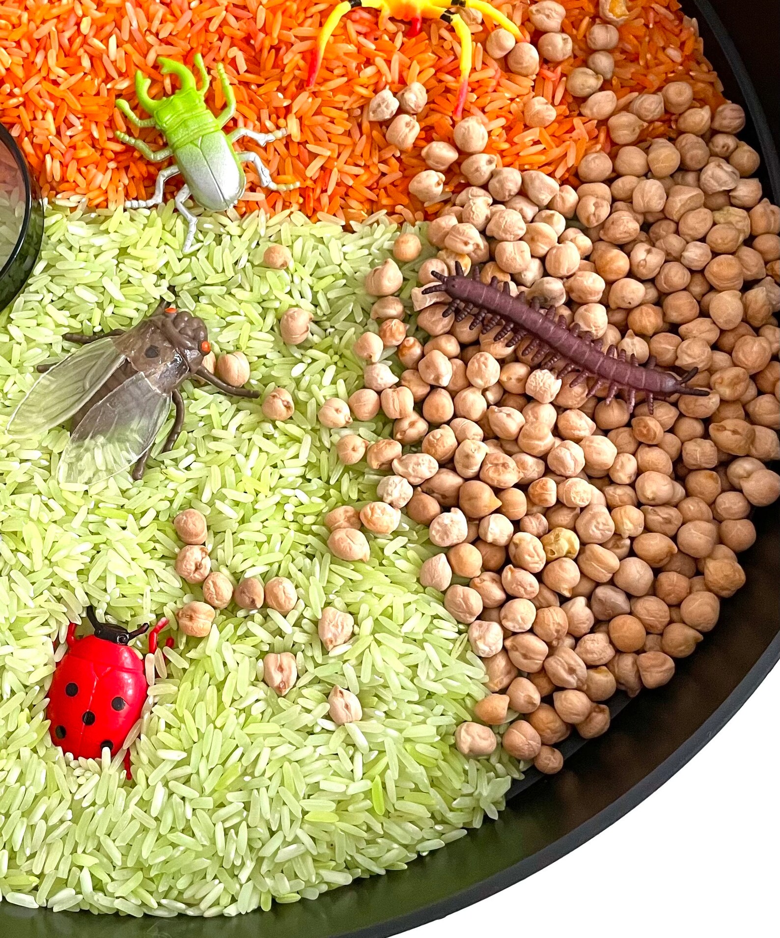 Minibeast Bug Hunt Sensory Coloured Rice Kit | Messy Play Tuff Tray ...