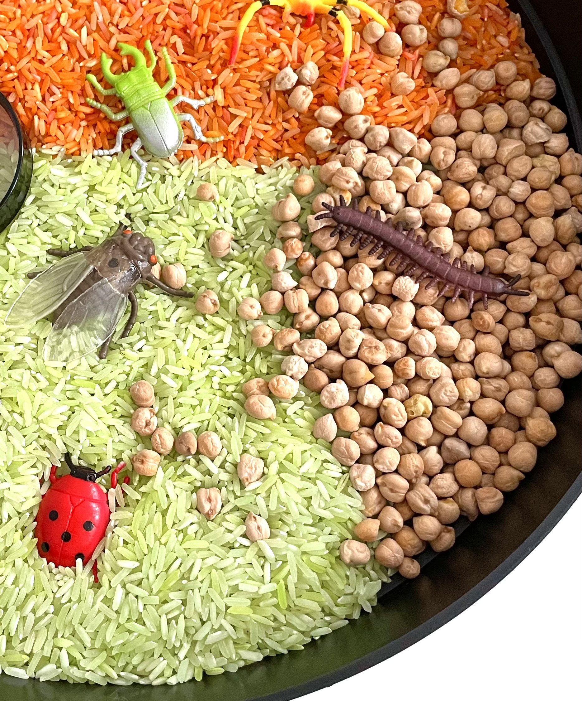Minibeast Bug Hunt Sensory Coloured Rice Kit | Messy Play Tuff Tray ...