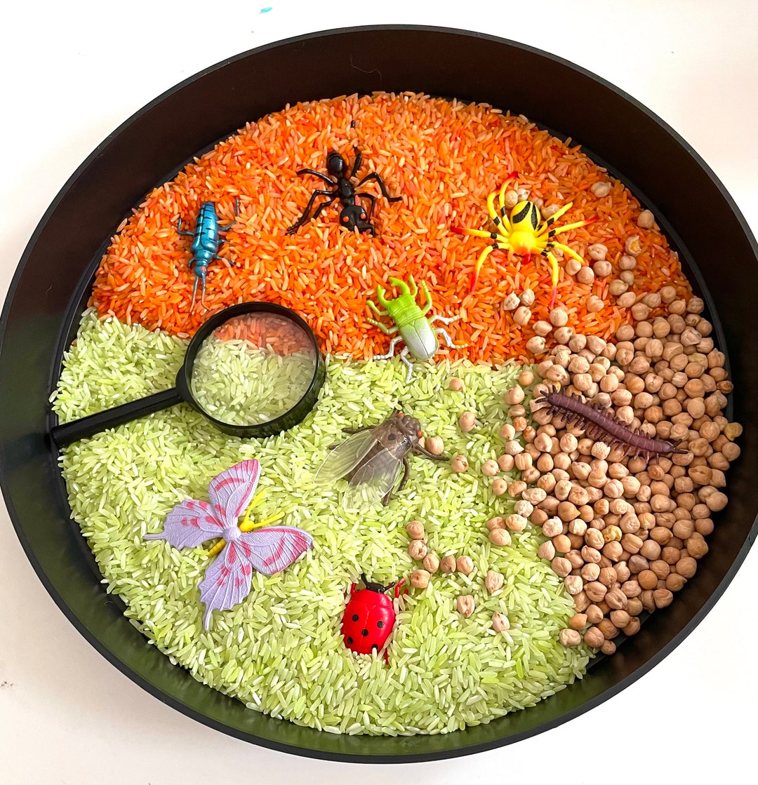 Minibeast Bug Hunt Sensory Coloured Rice Kit | Messy Play Tuff Tray ...