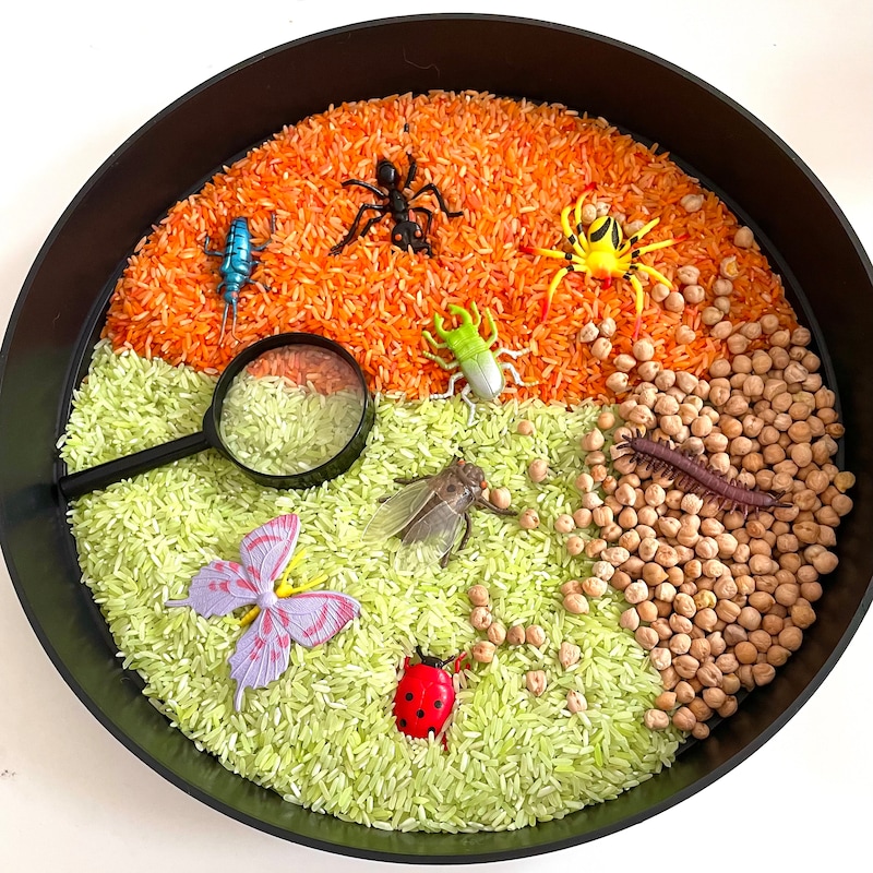 Bug Sensory Tray - Etsy UK