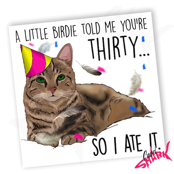 Funny 30th Birthday Card Cat - Etsy