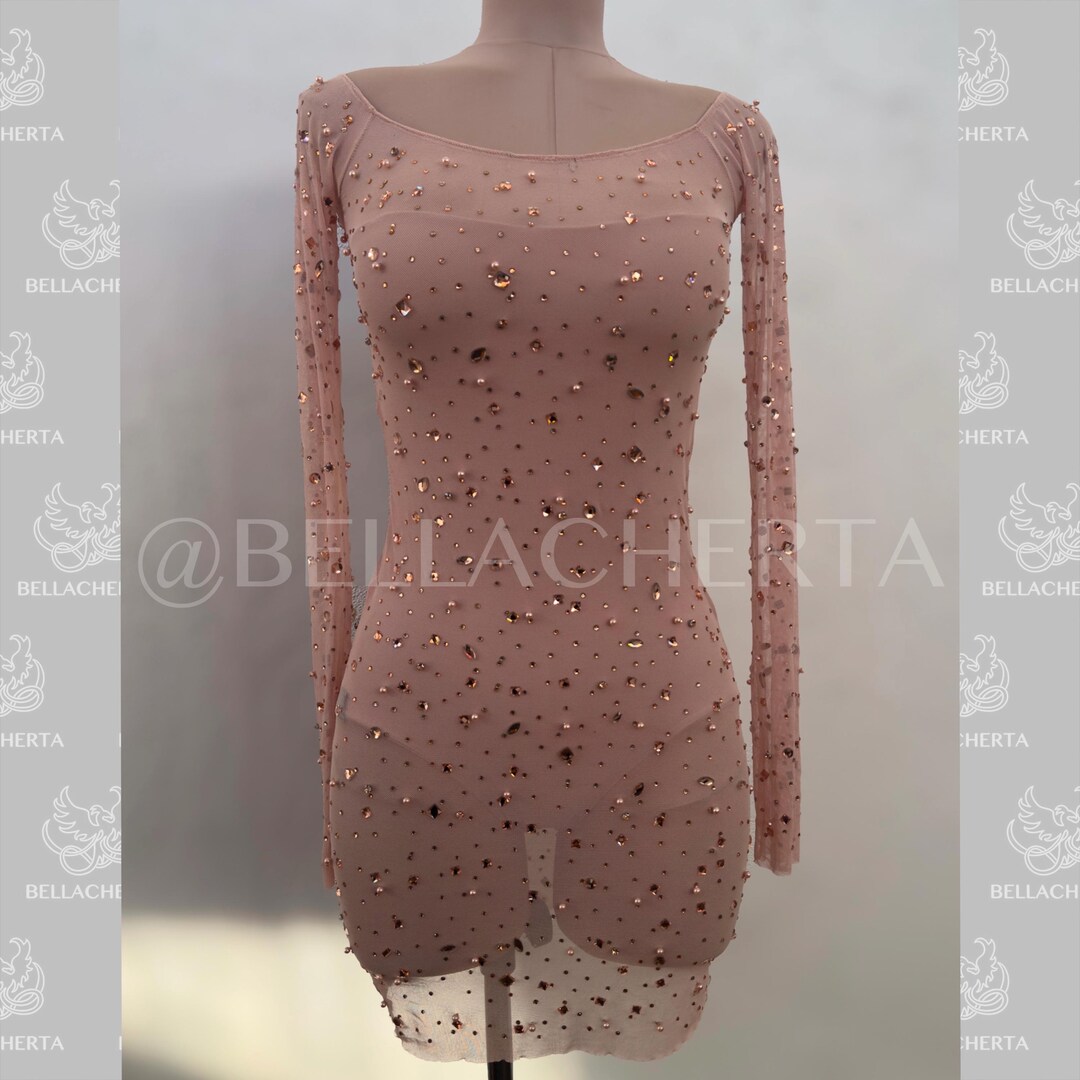 Transparent See Through Mesh Bodycon Mini Dress Embelished With ...
