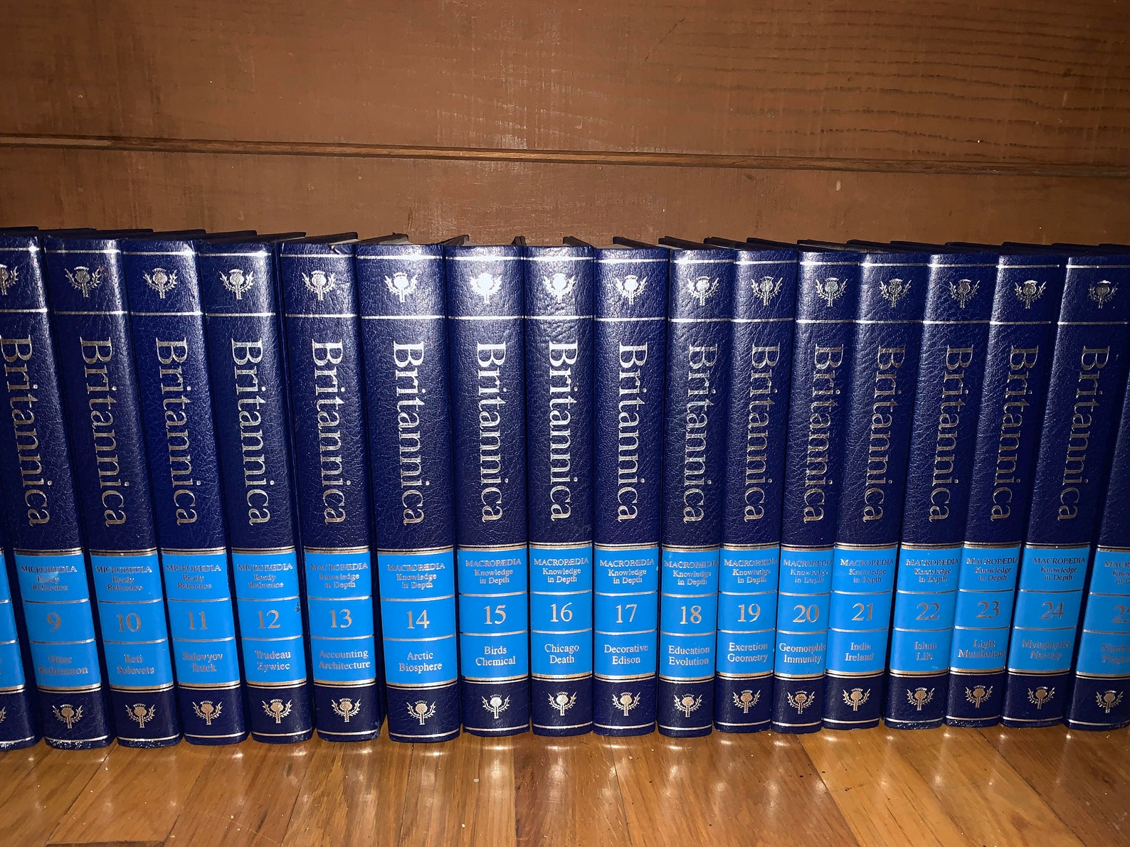 Encyclopedia Britannica 33 Volume Set Blue Silver 15th Ed | Etsy