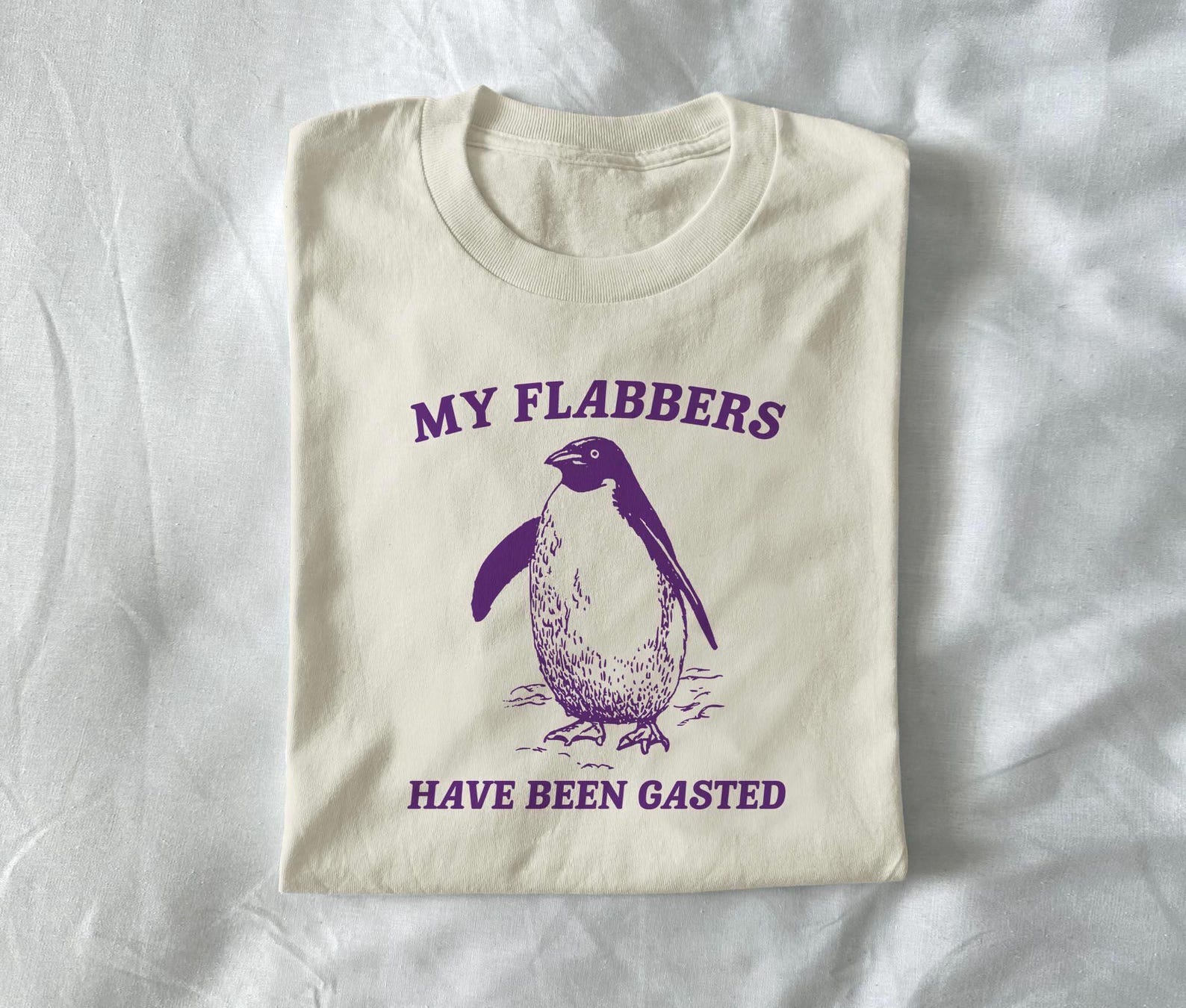 My Flabbers Have Been Gasted - Unisex T Shirt, Funny Shirt, Meme T ...