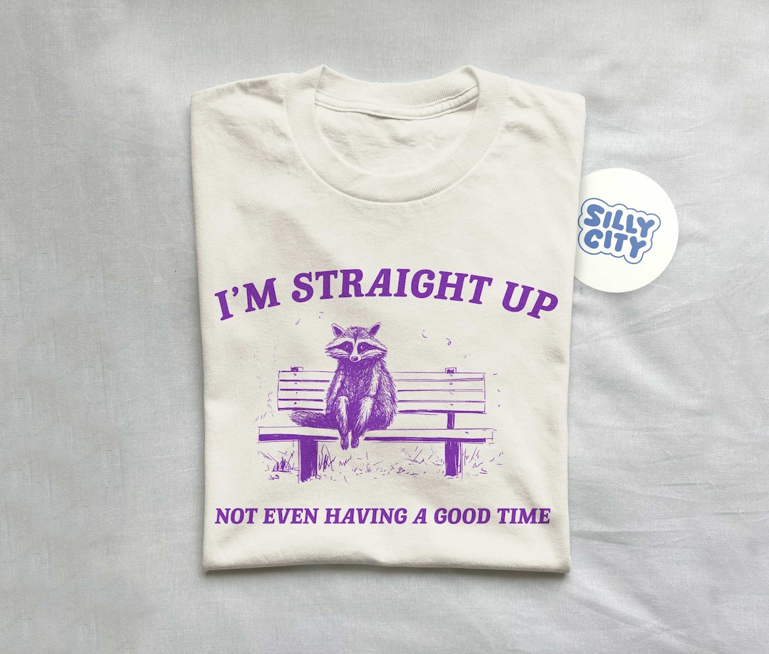 This is Not A Good Time - Raccoon Drawing T Shirt, Raccoon Meme T Shirt ...