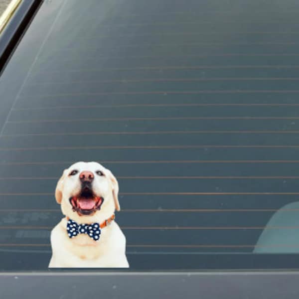 Dog Car Decals - Etsy
