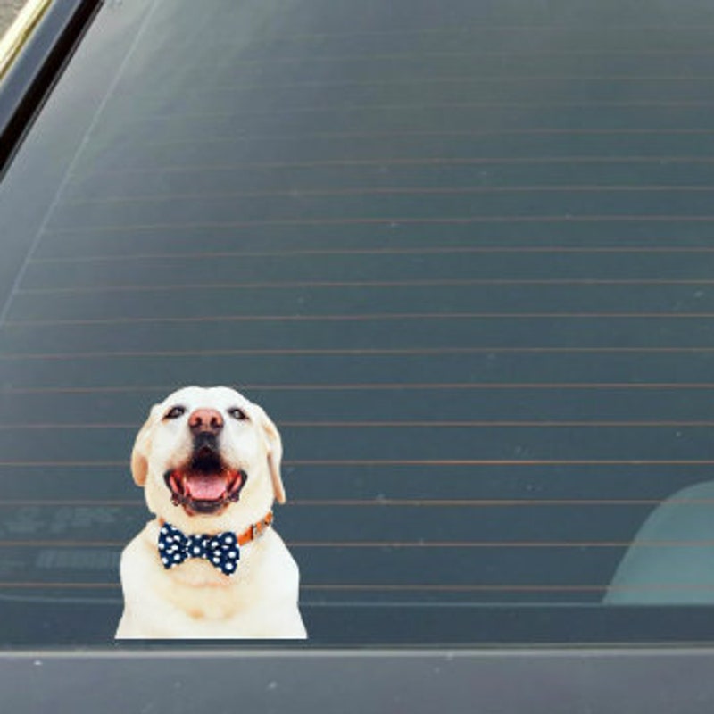 Dog Car Decals - Etsy
