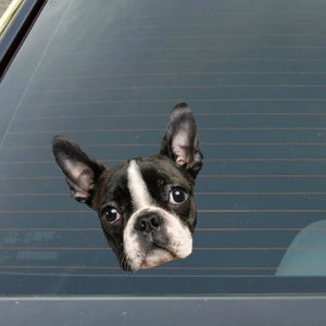 Pet Sticker Decal, Personalized Dog, Cat Any PET Sticker Decal, Custom ...