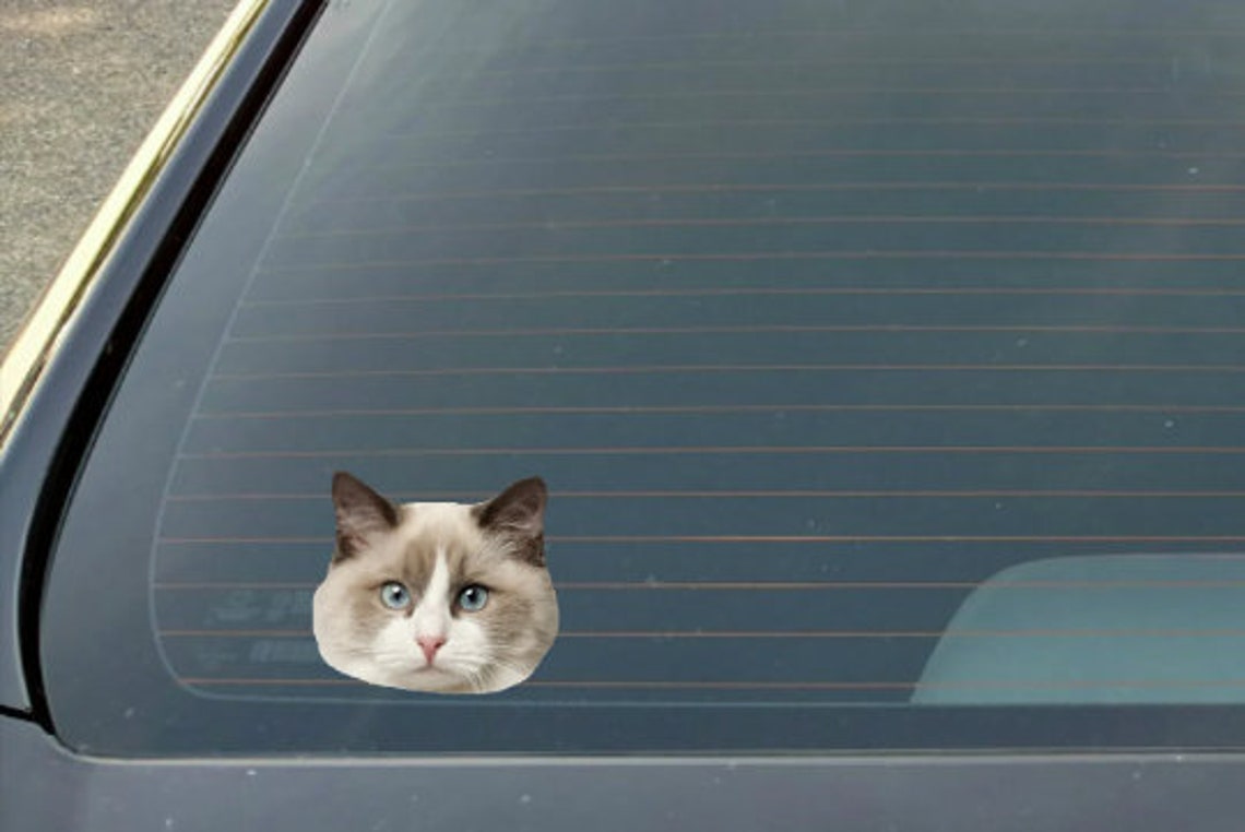 Pet Sticker Decal Personalized Dog Cat Any PET Sticker - Etsy