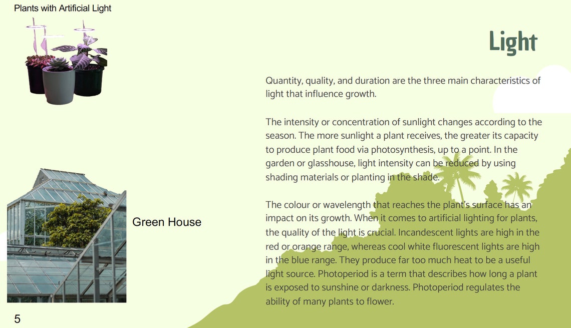 Life Cycle of Plants Science Book - Etsy