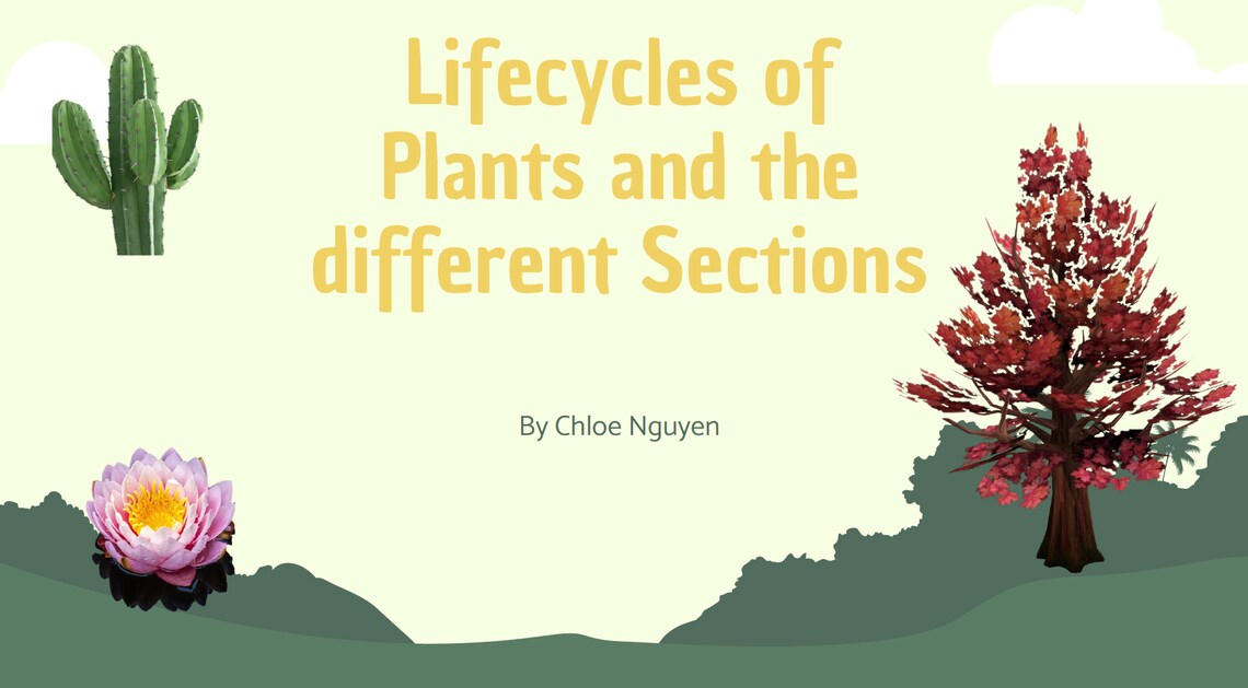 Life Cycle of Plants Science Book - Etsy